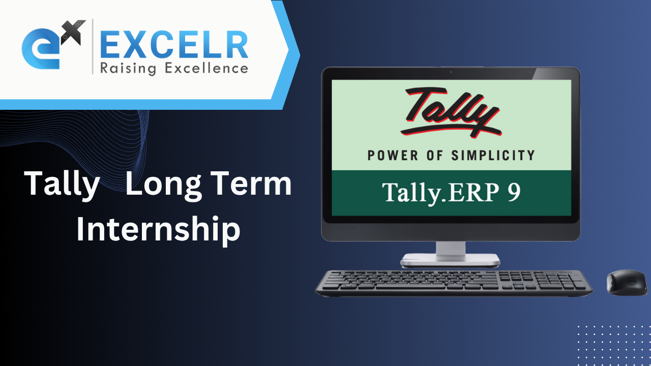 Tally Long Term Internship - ExcelR
